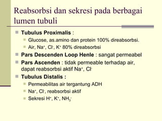 Anatomi ginjal | PPT