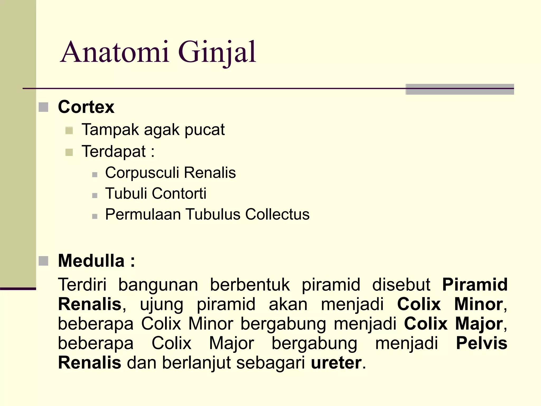 anatomi-ginjal.ppt