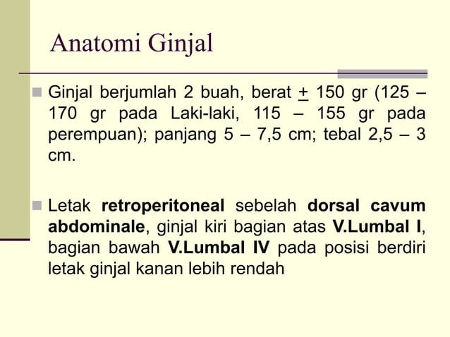 anatomi-ginjal.ppt