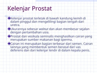 Anatomi-Histologi-dan-Topografi-Pertemuan-5.ppt