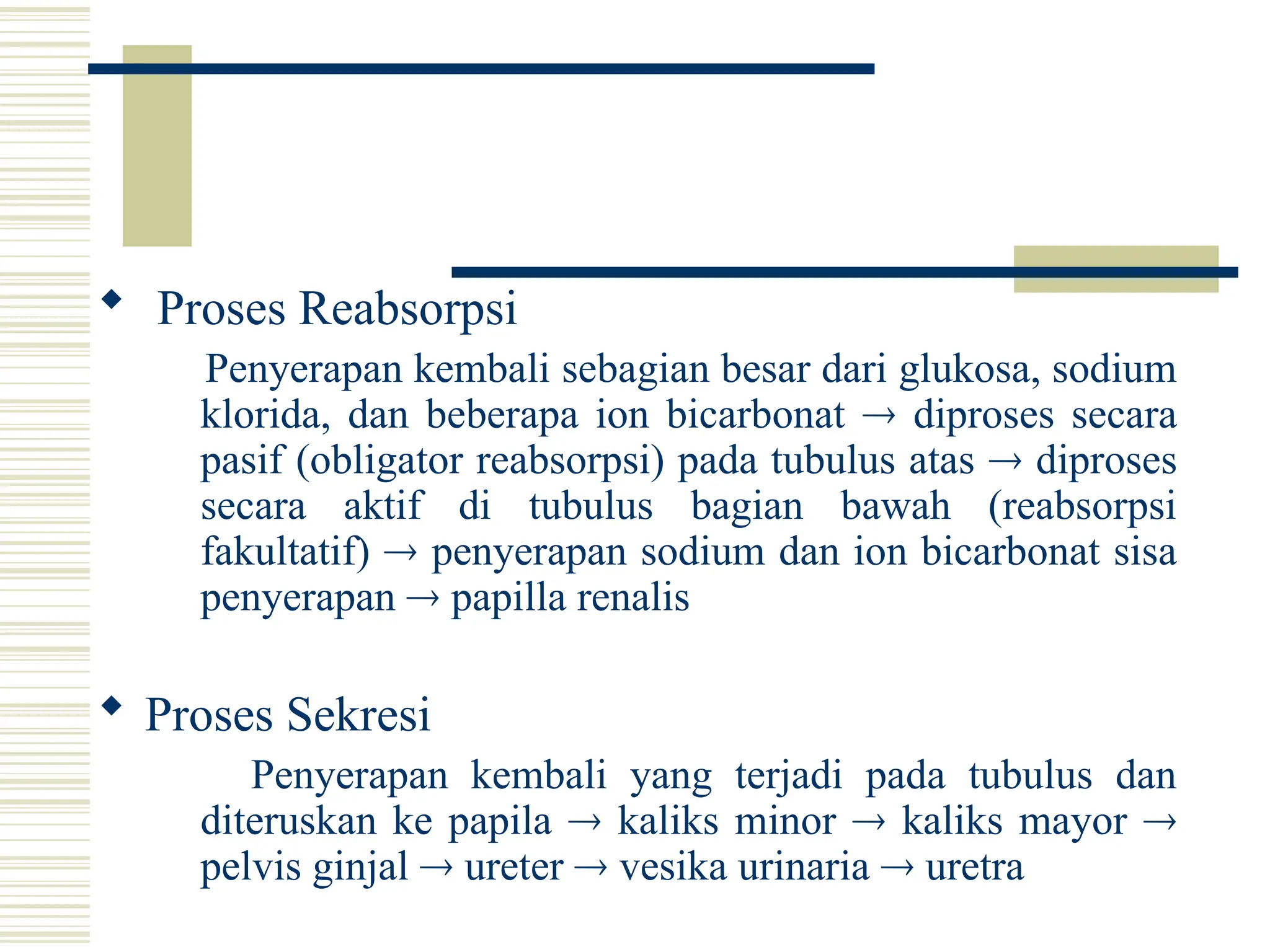 Anatomi-Histologi-dan-Topografi-Pertemuan-6.ppt