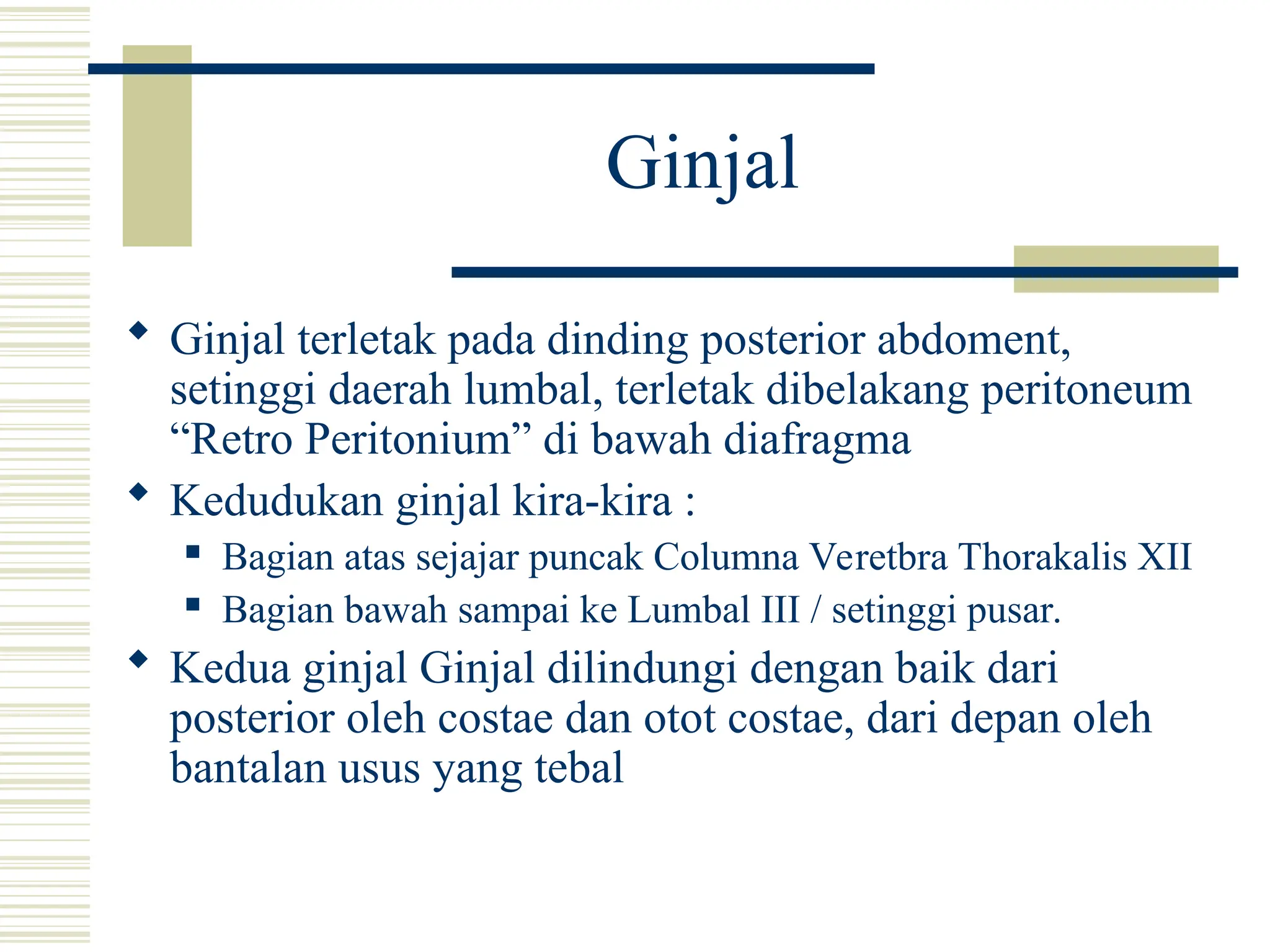 Anatomi-Histologi-dan-Topografi-Pertemuan-6.ppt