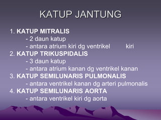 anatomi-jantung.ppt