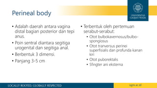 Anatomi pada perineum serta anorektal.pdf