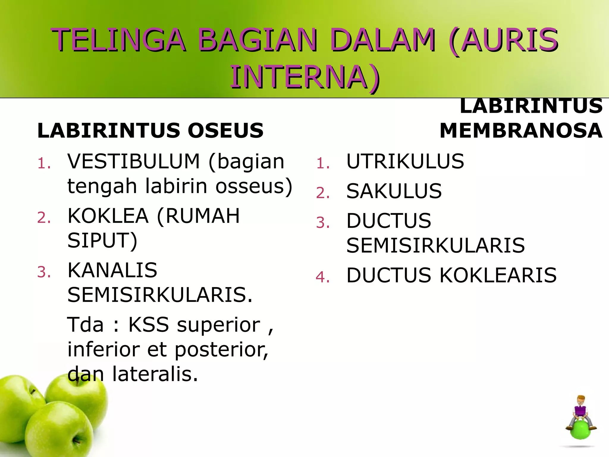 Anatomi sistem-panca-indra | PPT