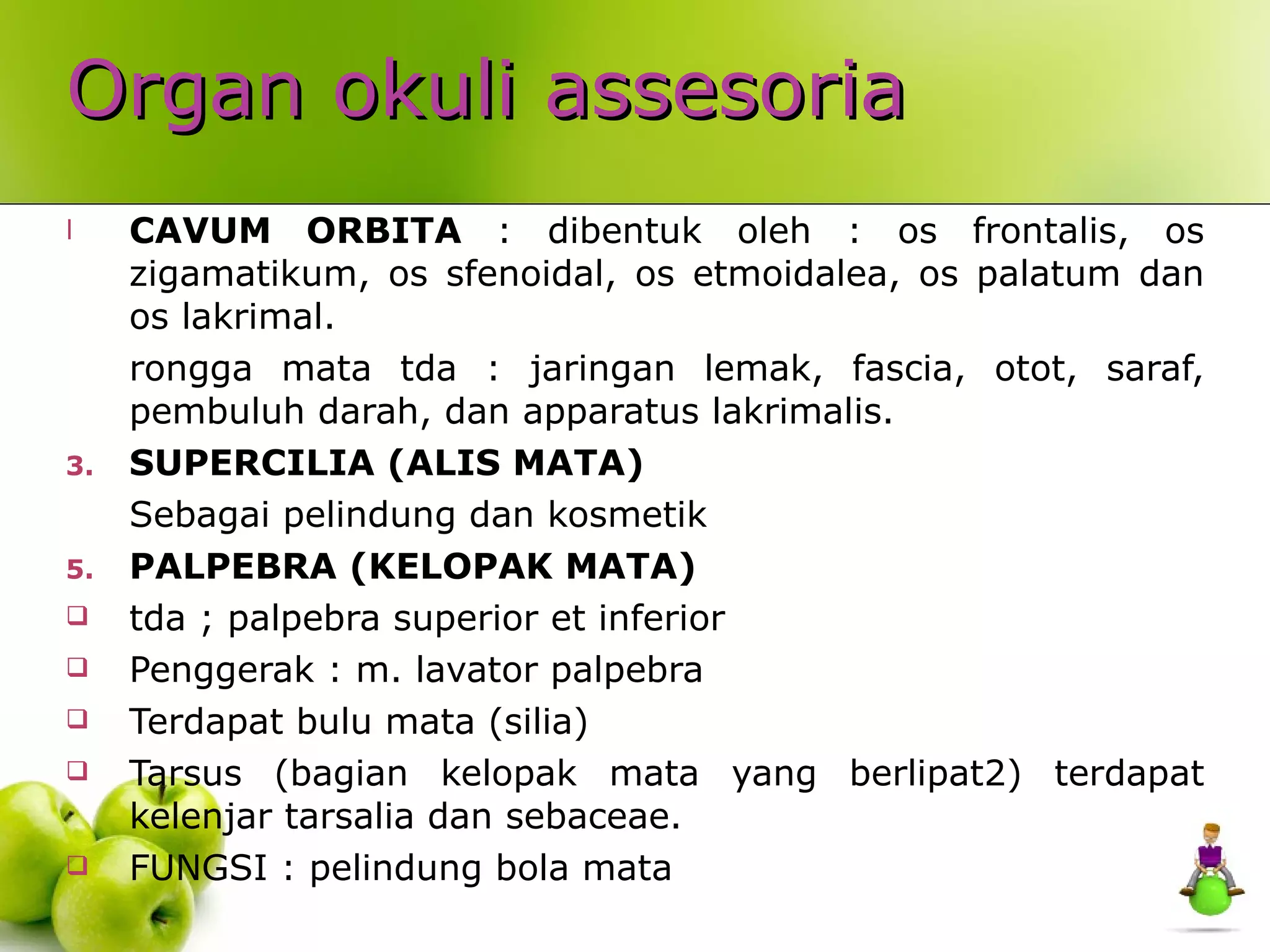 Anatomi sistem-panca-indra | PPT