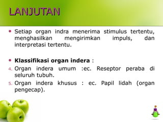 Anatomi sistem-panca-indra | PPT