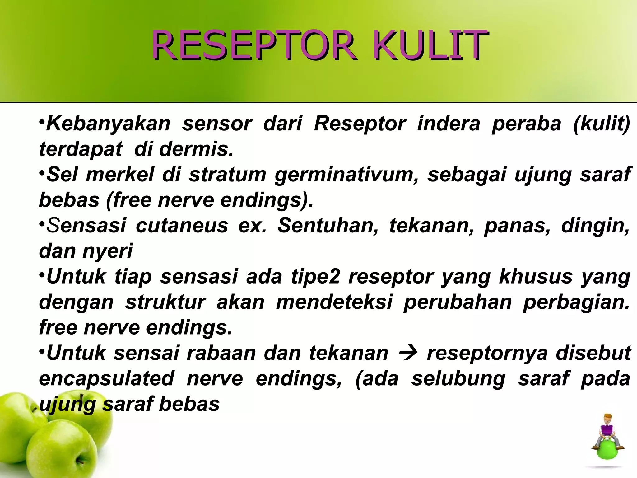 Anatomi sistem-panca-indra | PPT