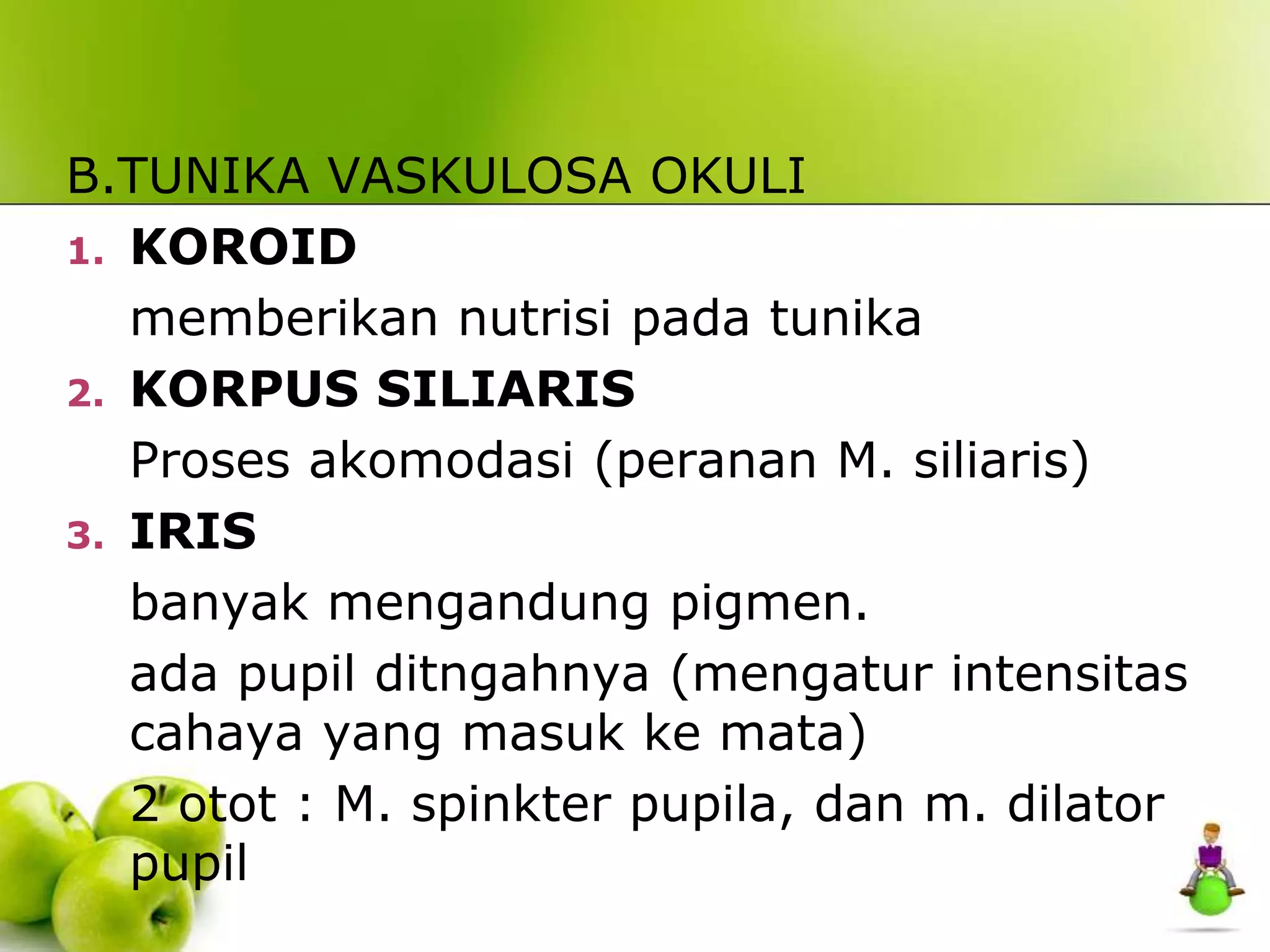 Anatomi sistem-panca-indra | PPTX