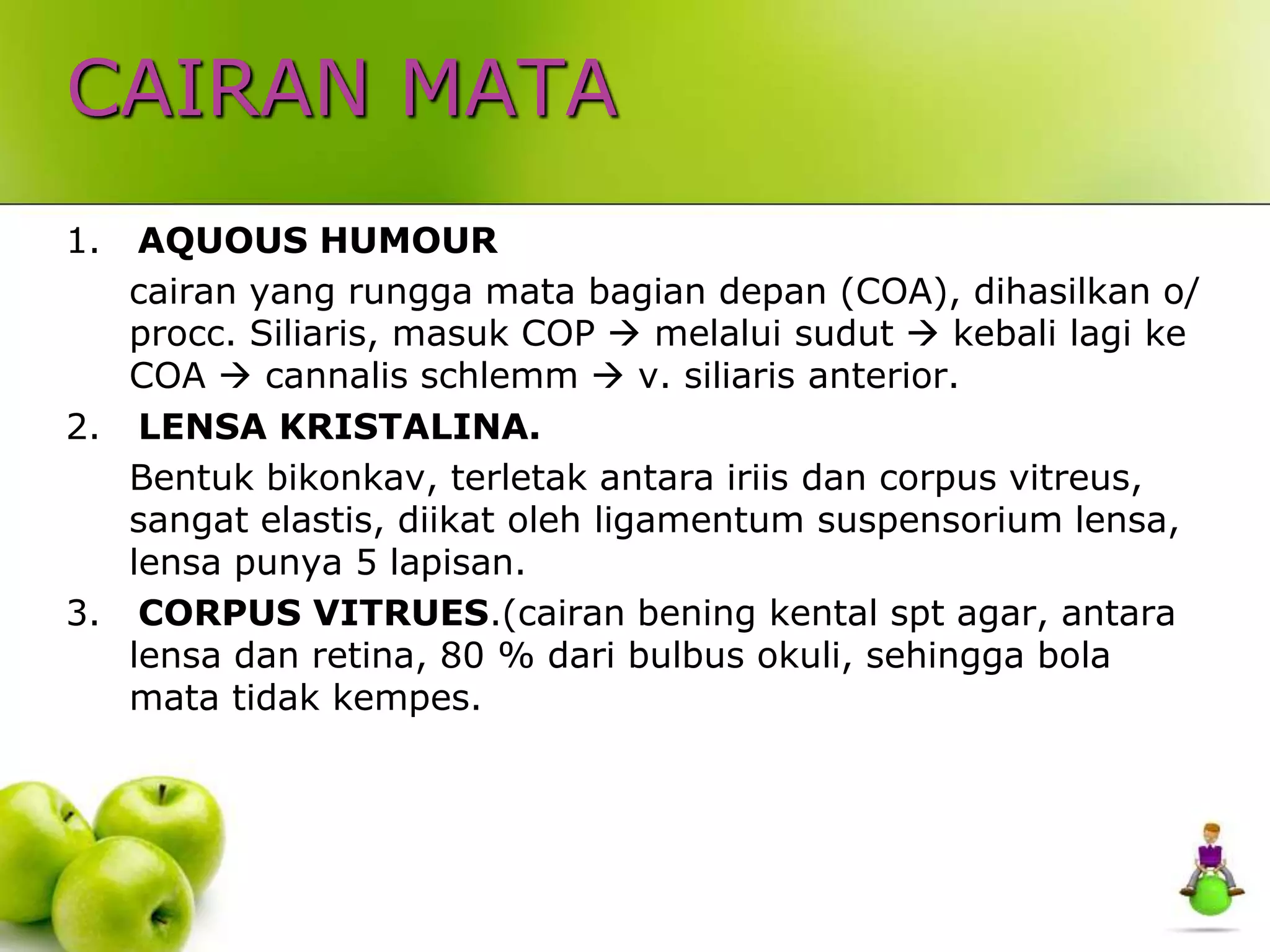 Anatomi sistem-panca-indra | PPTX