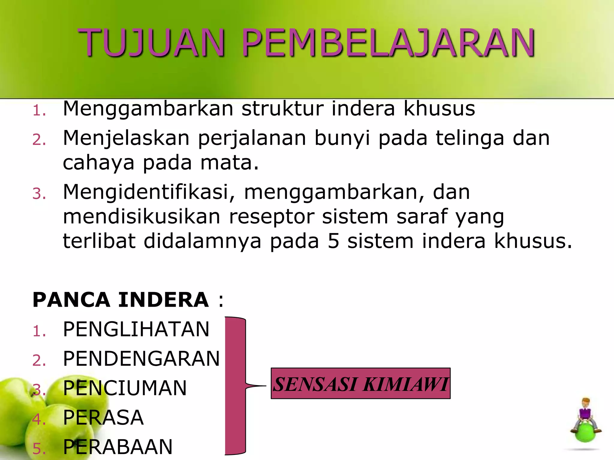 Anatomi sistem-panca-indra | PPTX