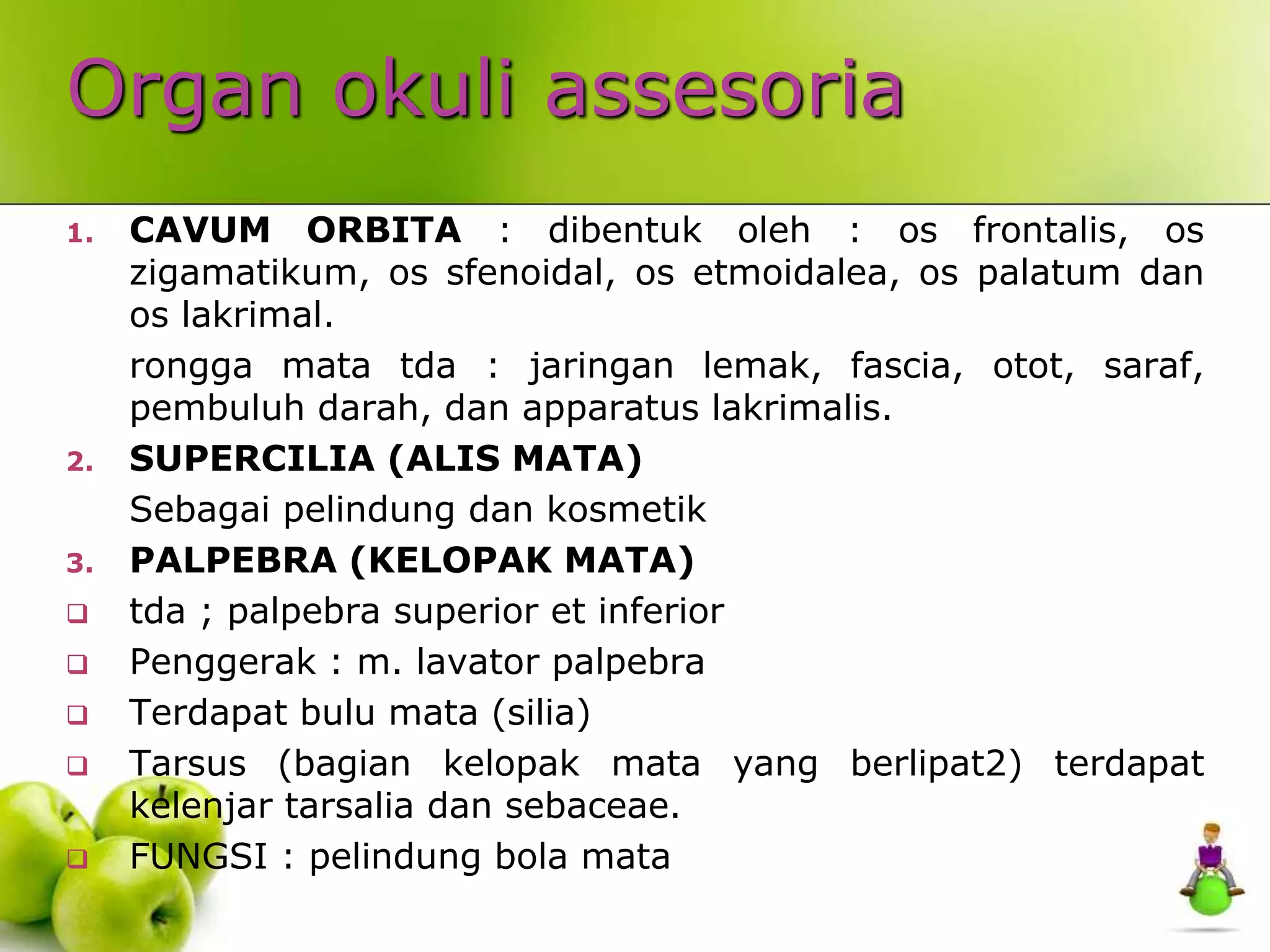 Anatomi sistem-panca-indra | PPTX