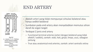 Anatomi-Vascular.pptx