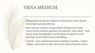 Anatomi-Vascular.pptx