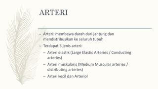 Anatomi-Vascular.pptx