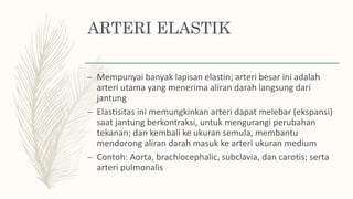 Anatomi-Vascular.pptx