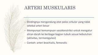 Anatomi-Vascular.pptx