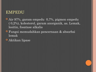 ANATOMI FISIOLOGI SISTEM PENCERNAAN.pptx