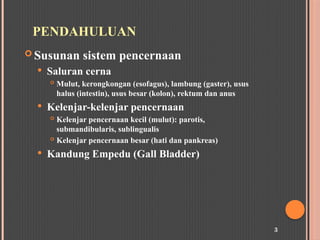 ANATOMI FISIOLOGI SISTEM PENCERNAAN.pptx