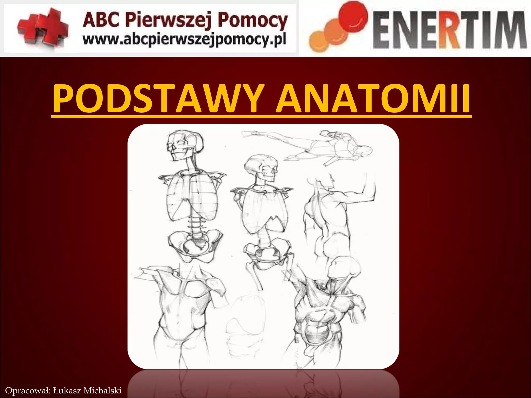 Anatomia | PPT