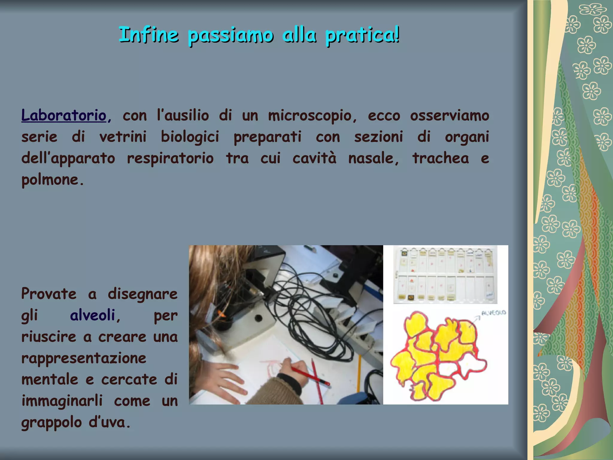 Anatomia | PPT