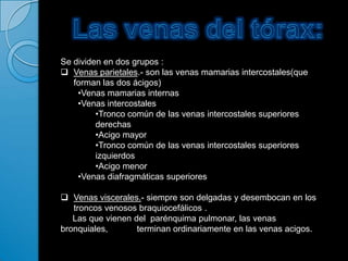 vasos del torax | PPTX