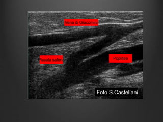 Anatomia | PPTX
