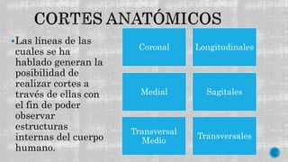 Historia de la anatomía / planos, ejes y cortes anatómicos | PPTX