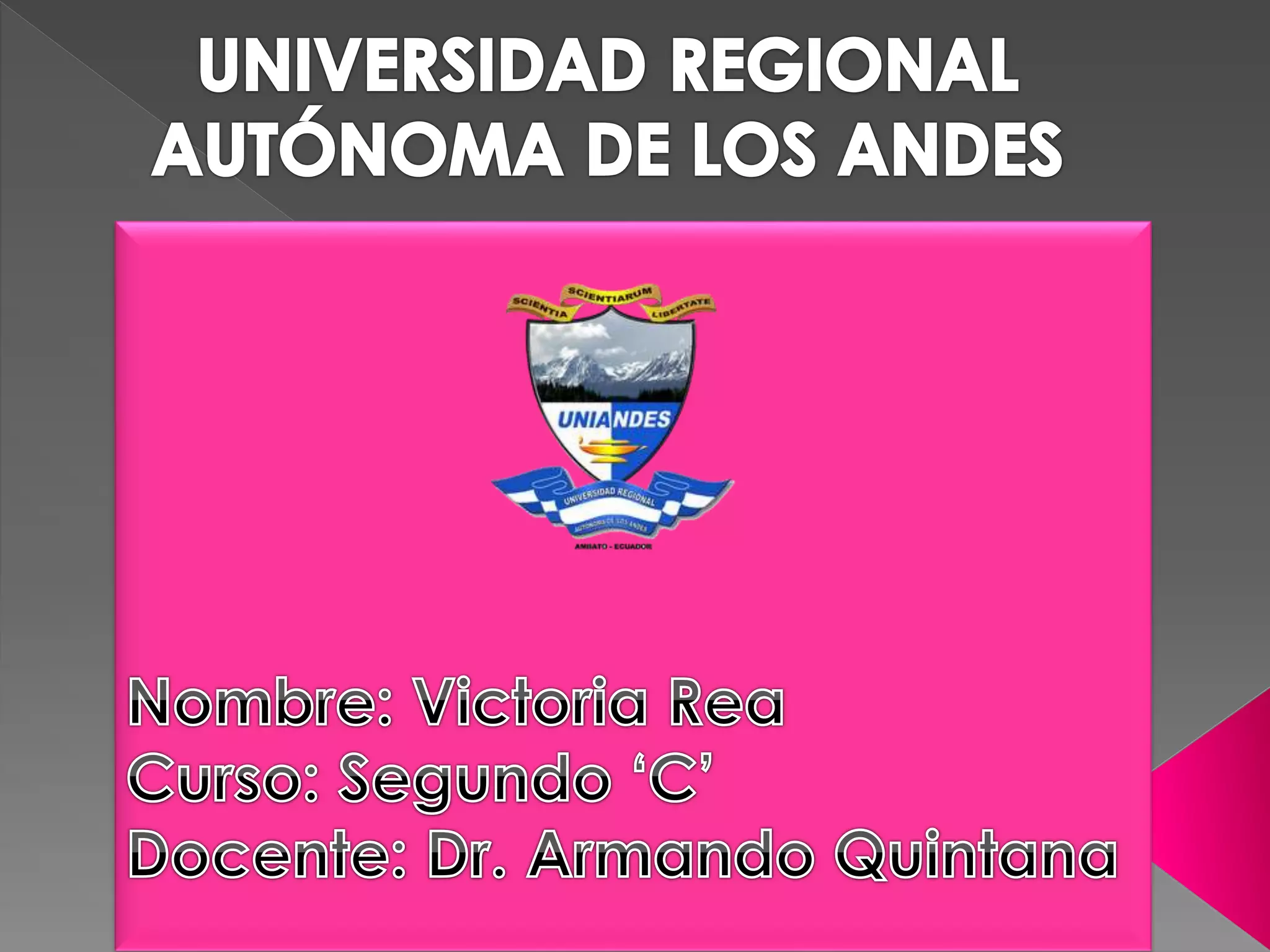 División del abdomen y proyecciones anatómicas | PPTX