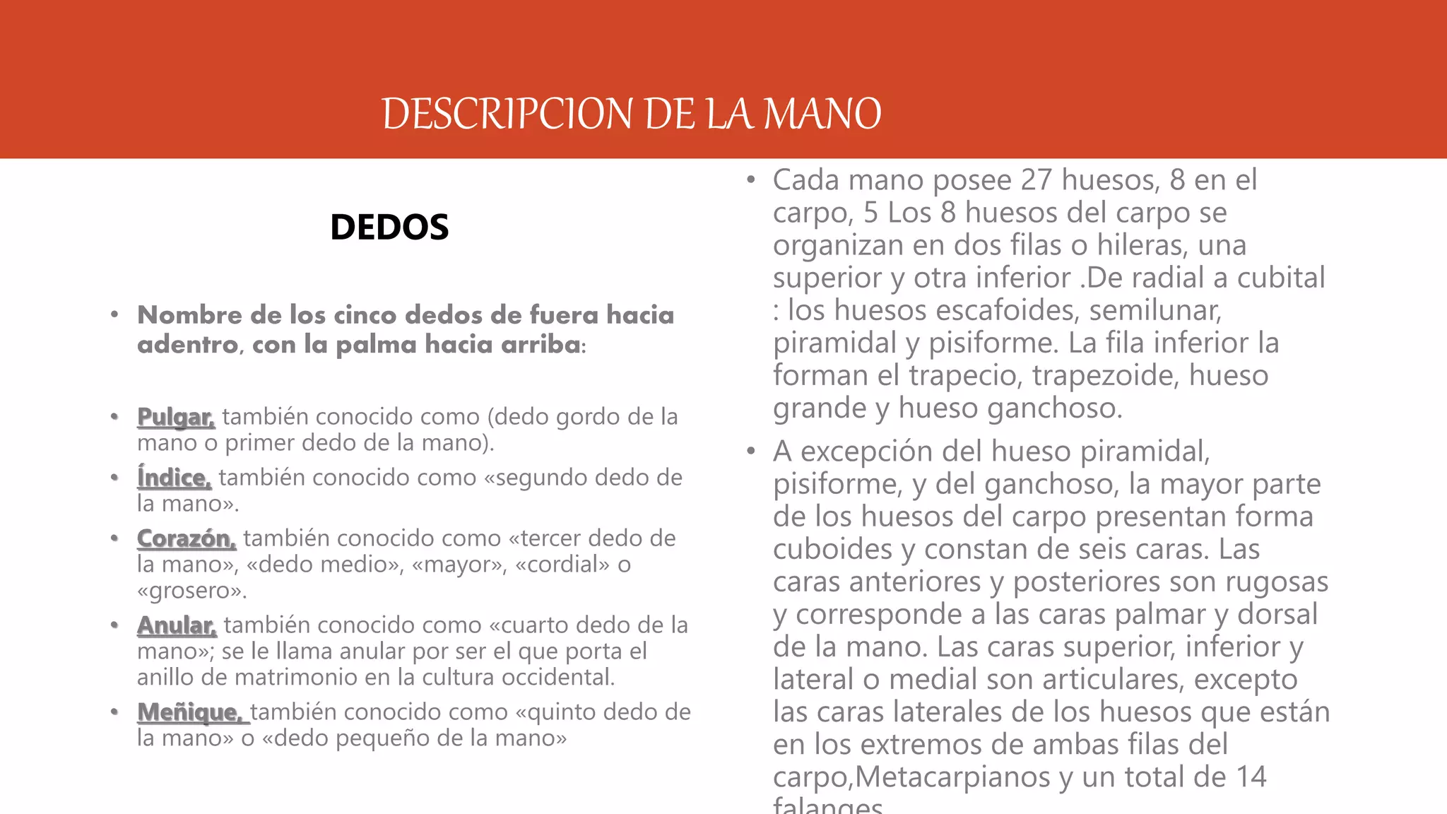 Anatomia De La Mano(huesos,ligamentos,articulaciones y musculos) | PPTX