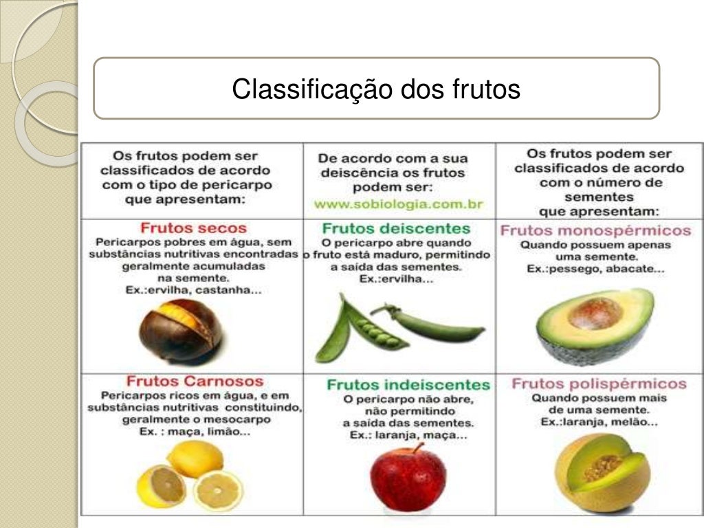 Anatomia do Fruto e da Semente