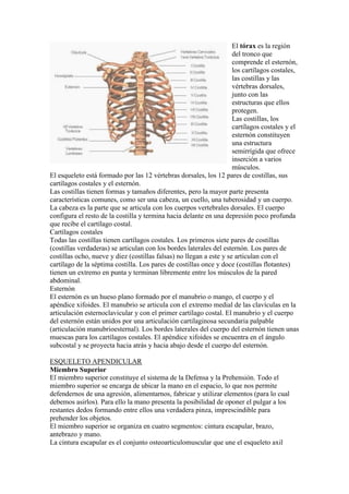 Anatomia | PDF