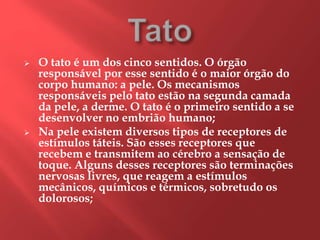 Trabalho de Anatomia - Sistema Sensora | PPTX