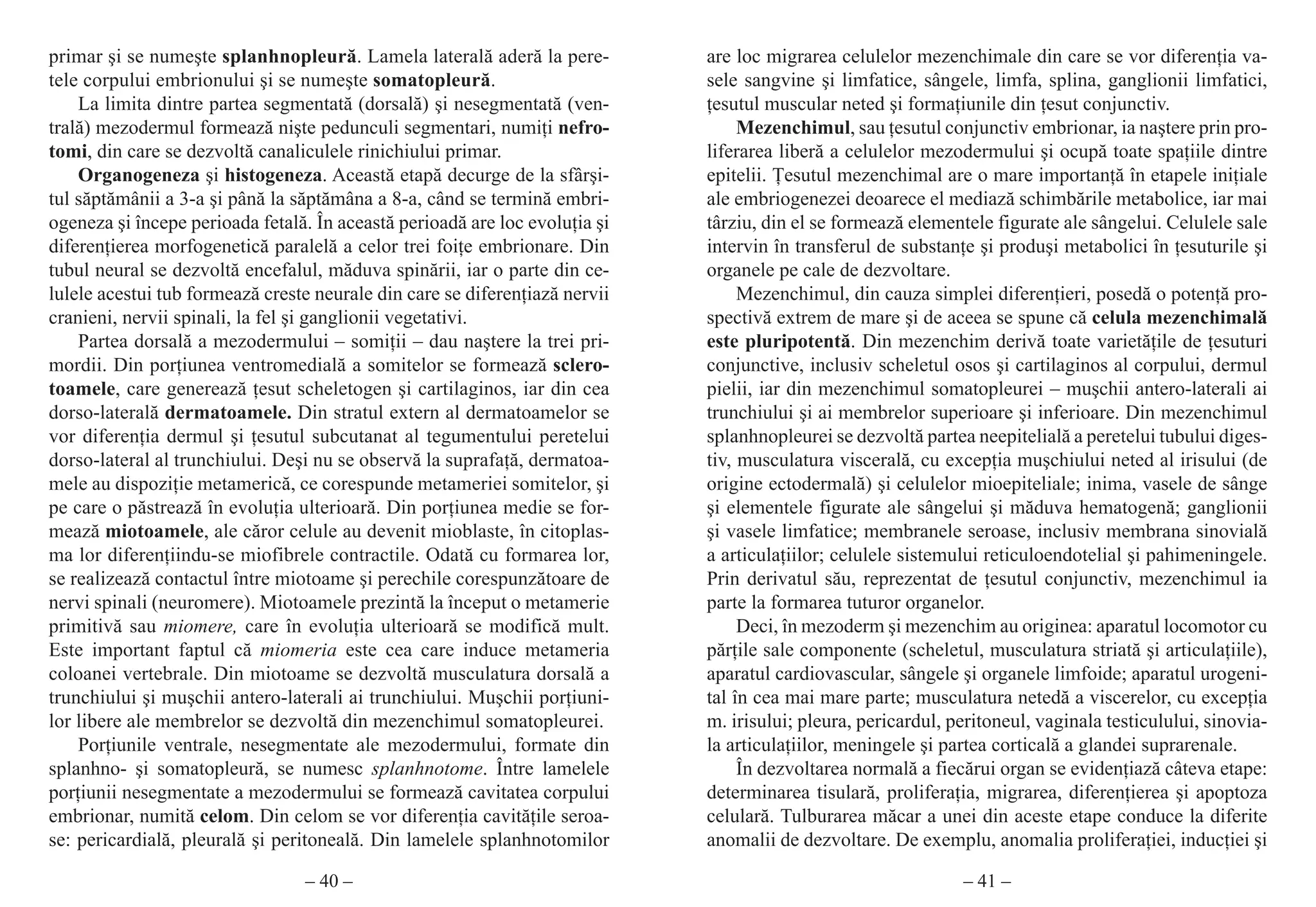 Anatomia.stefanet.vol 1 | PDF