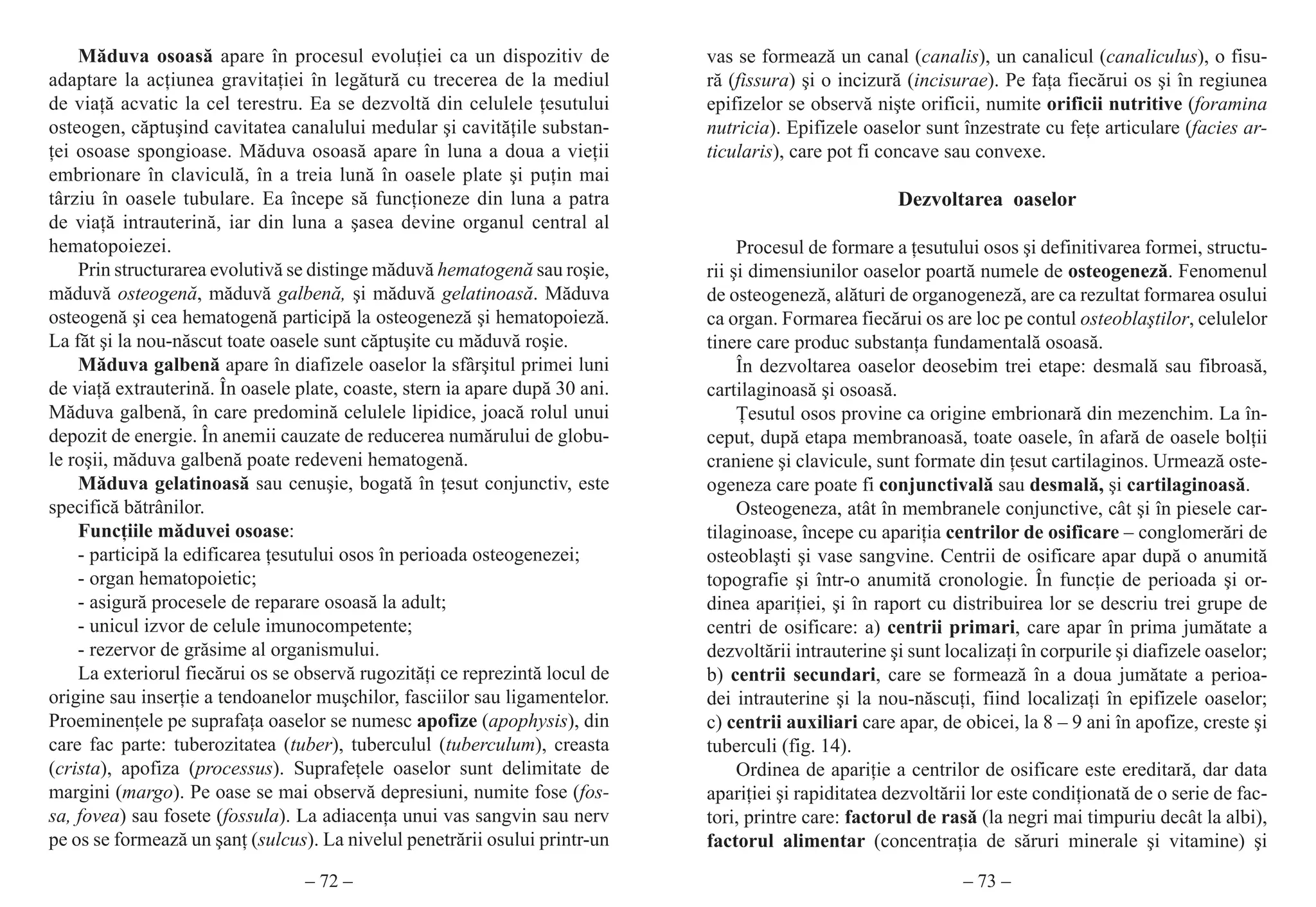 Anatomia.stefanet.vol 1 | PDF