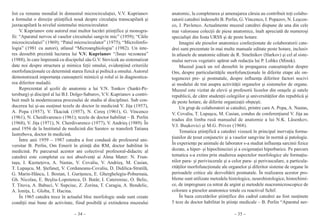 Anatomia.stefanet.vol 1 | PDF