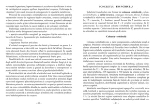 Anatomia.stefanet.vol 1 | PDF