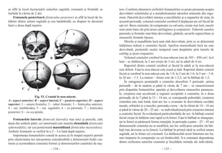 Anatomia.stefanet.vol 1 | PDF