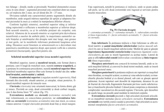 Anatomia.stefanet.vol 1 | PDF