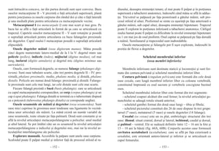 Anatomia.stefanet.vol 1 | PDF