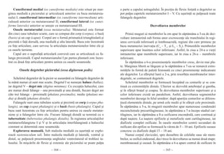 Anatomia.stefanet.vol 1 | PDF