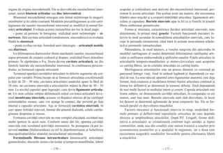Anatomia.stefanet.vol 1 | PDF
