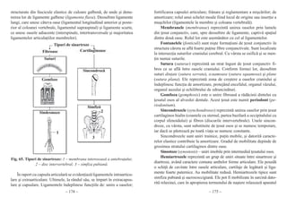 Anatomia.stefanet.vol 1 | PDF