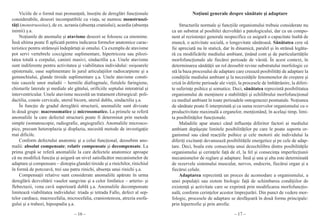 Anatomia.stefanet.vol 1 | PDF