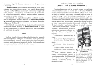 Anatomia.stefanet.vol 1 | PDF