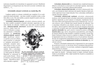 Anatomia.stefanet.vol 1 | PDF