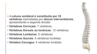 Anatomia - sistema ósseo | PPTX