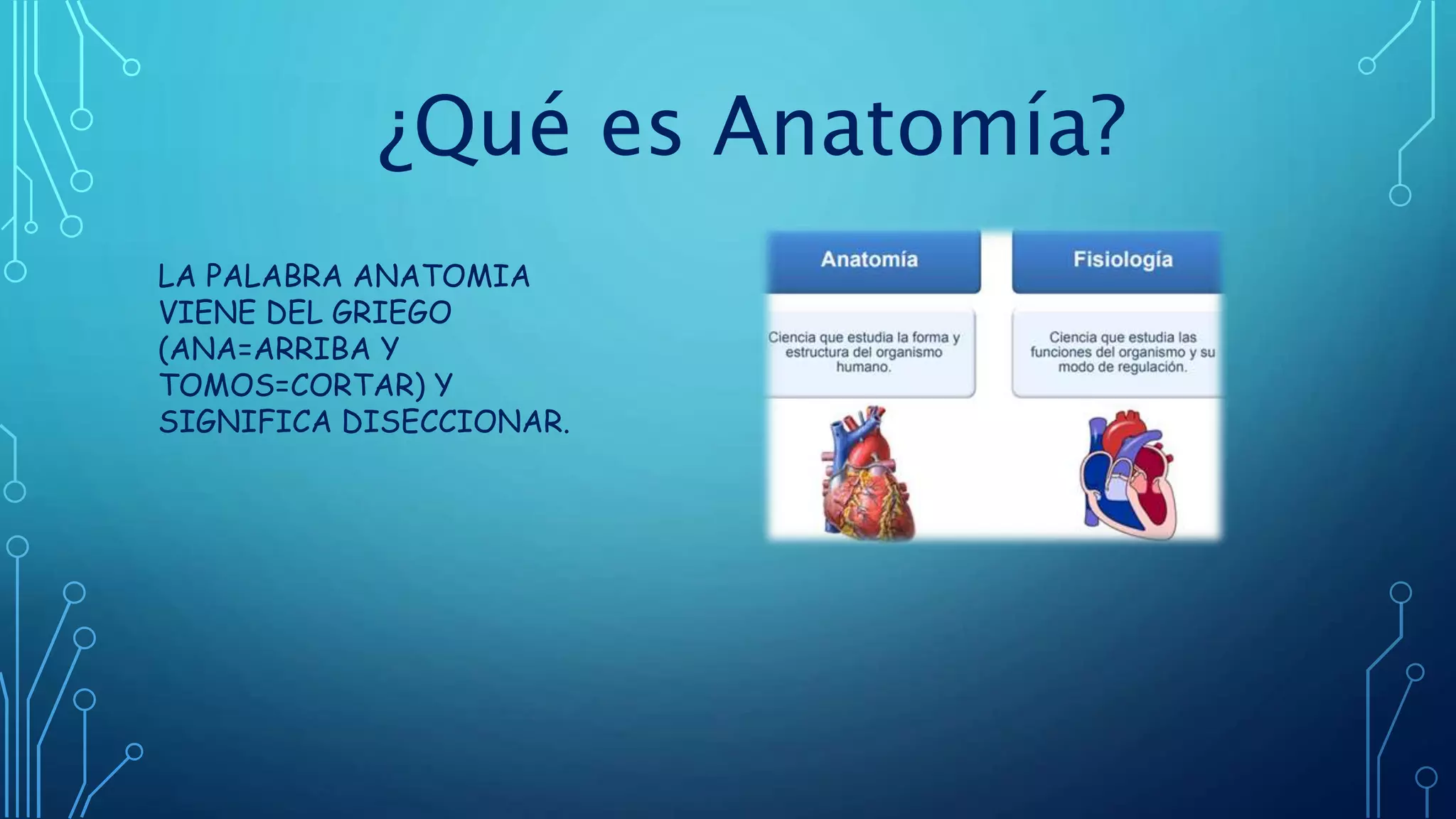 Anatomia | PPT