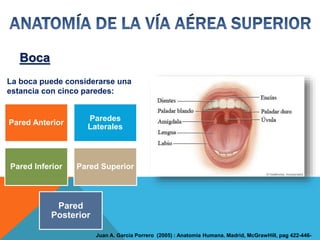 Anatomia | PPTX