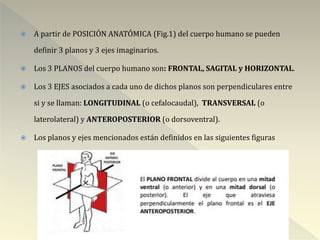 anatomia.pptx